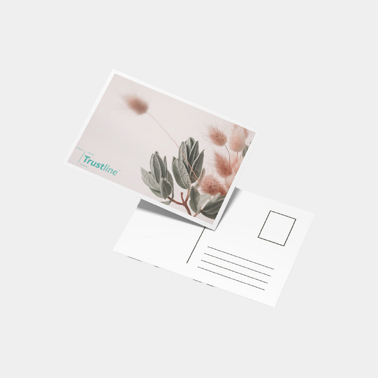 Customisable Postcard | Trustline Enterprises